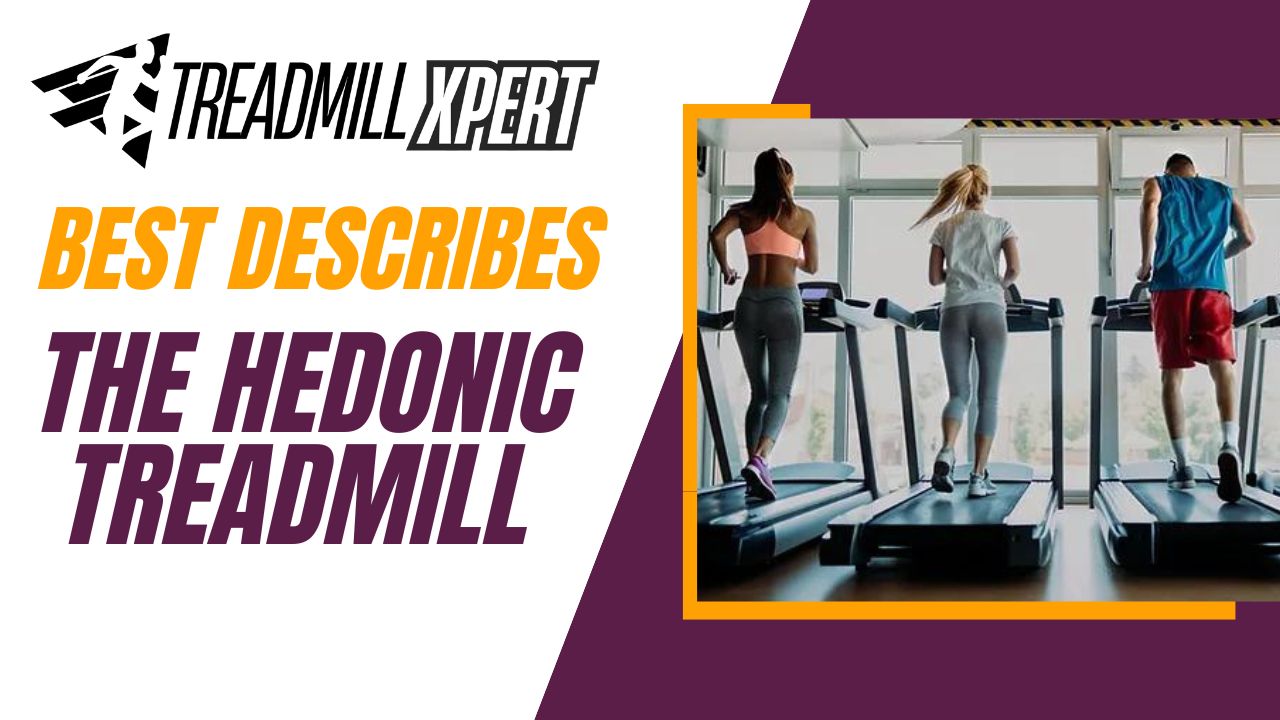 Best Describes The Hedonic Treadmill - TreadmillXpert